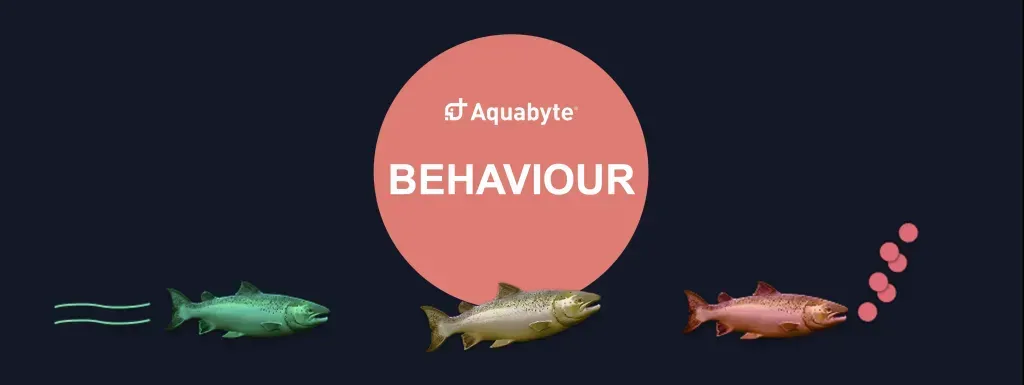 Fish behaviour monitoring for aquaculture and farming | Aquabyte