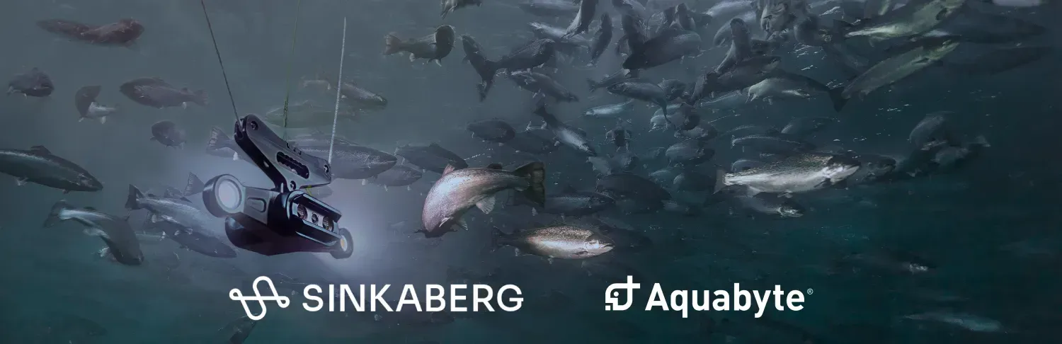 Aquabyte | Better fish welfare with AI at Sinkaberg | Aquabyte
