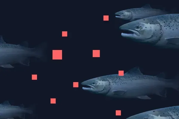 Aquabyte Feeding | Smarter feeding in fish farming | Aquabyte