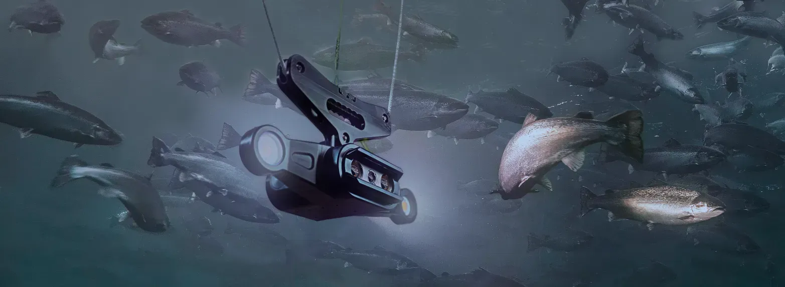 Aquabyte | Hammerhead: engineered for submerged operation | Aquabyte